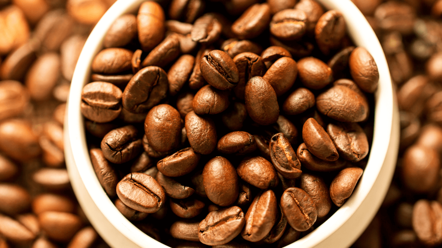 Where Do Coffee Beans Come From? A Journey From Seed to Cup