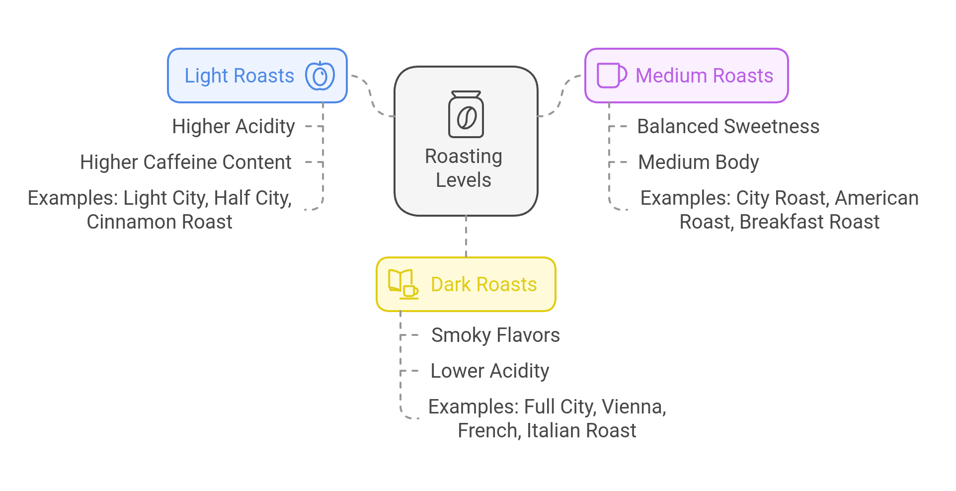 Types of Coffee: Master Guide to Global Varieties